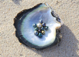 The complete guide to Tahitian cultured pearls - Jewellery Business
